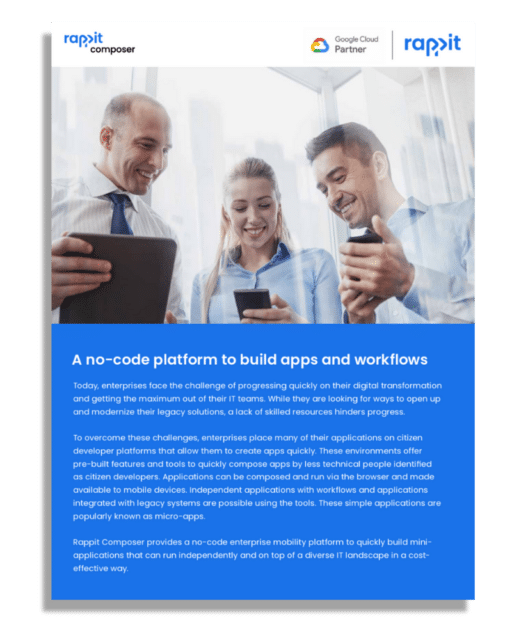 Download the Rappit Developer product sheet for free!