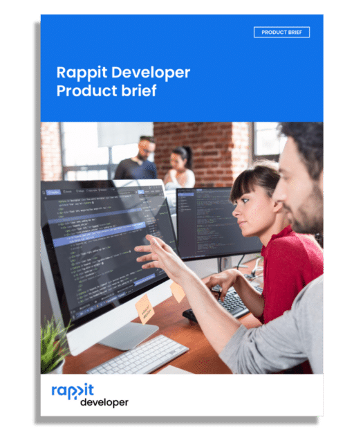 Download the Rappit Developer product brief for free!