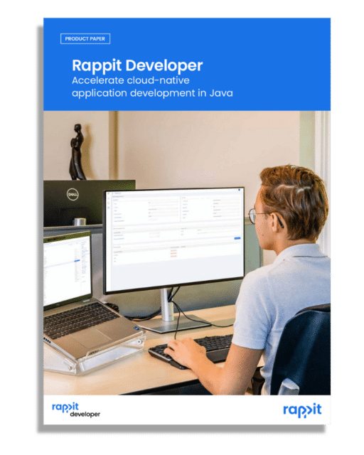 Download the Rappit Developer product paper for free!