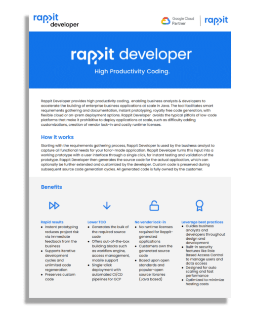 Download the Rappit Developer product sheet for free!
